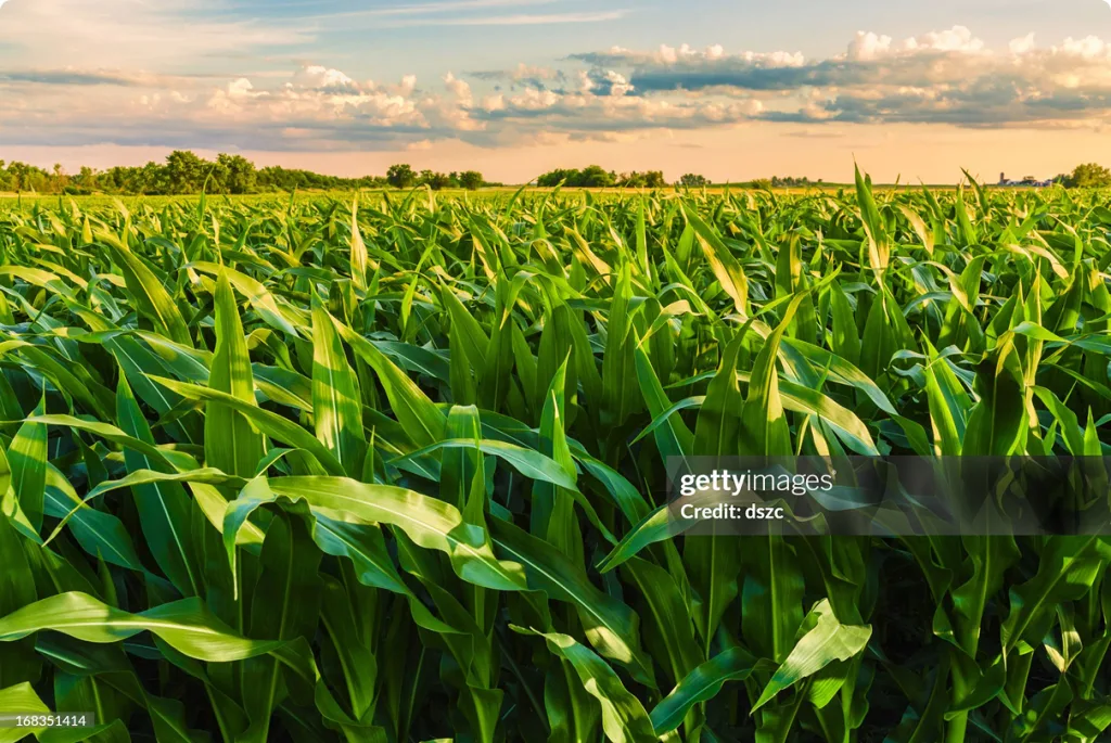 Material Innovations - America's Plastic Makers